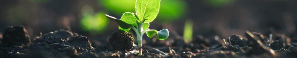 Solutions by Application - CanGrow Crop Solutions